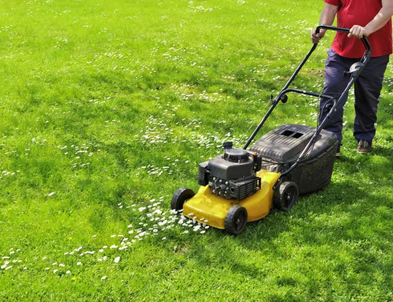 Professional House Cleaning Newcastle Services | Clean4you